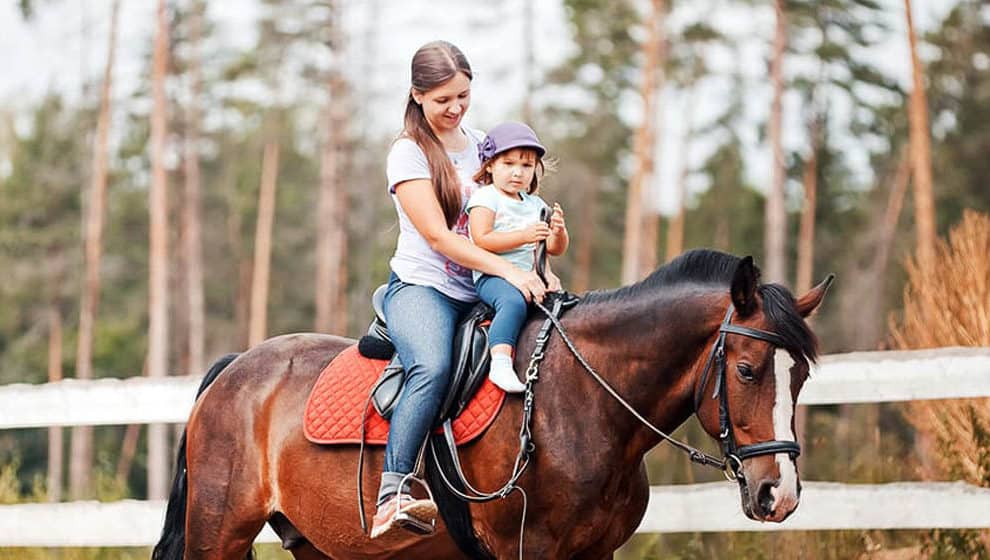 Five Oaks Riding Stables - Dubby's Attractions